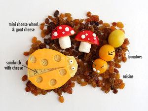 Tasty Bugs Bento Box Lunch | Front & Center