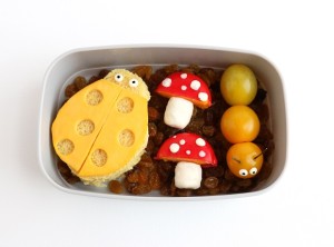 Tasty Bugs Bento Box Lunch | Front & Center